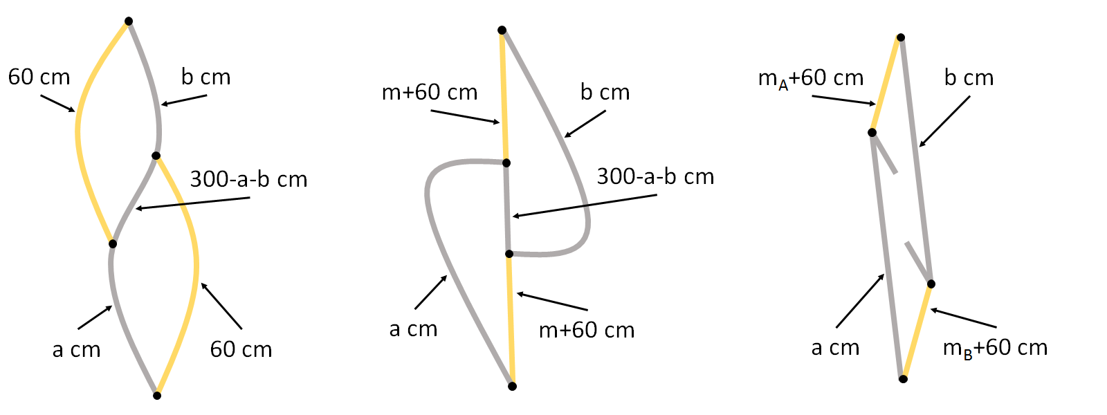 創作パズル パラドックスなゴムひも - TechMath Project